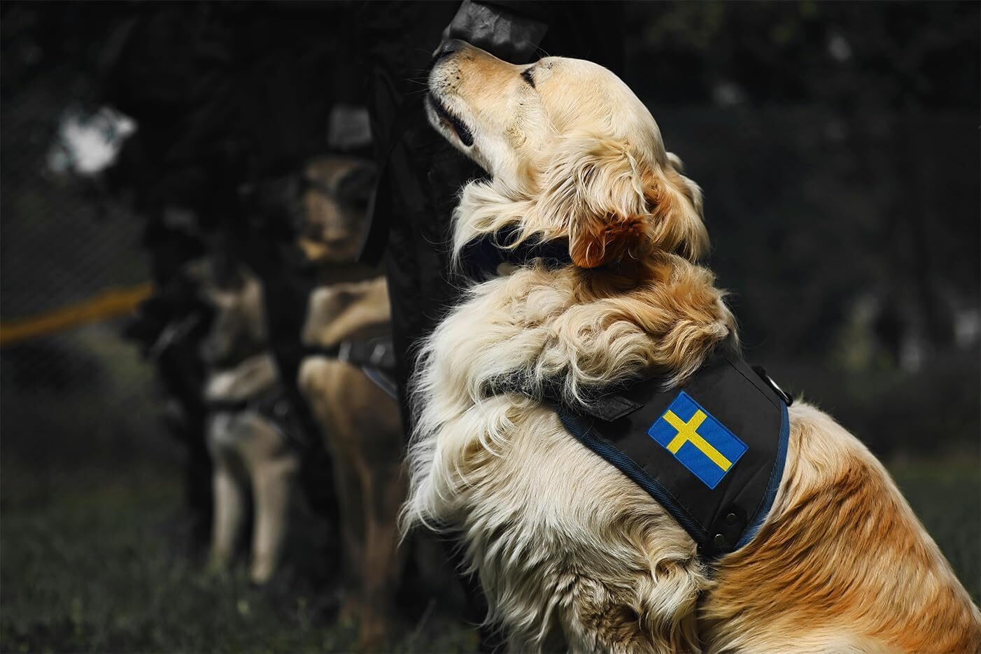 Embroidered Sweden Flag Patches - Affordable Custom Patches